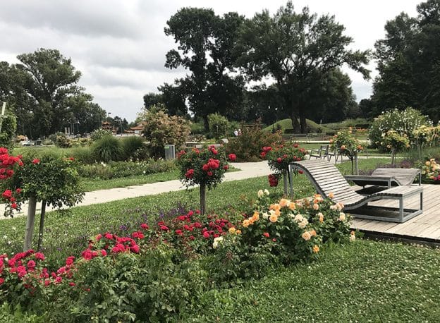 Rosarien und Rosengärten in Österreich - sugar&rose
